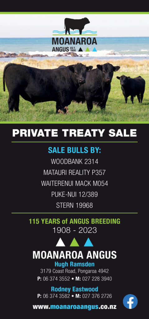 Moanaroa Angus | Moanaroa-2023-Catalogue-cover-websiteMoanaroa-2023 ...
